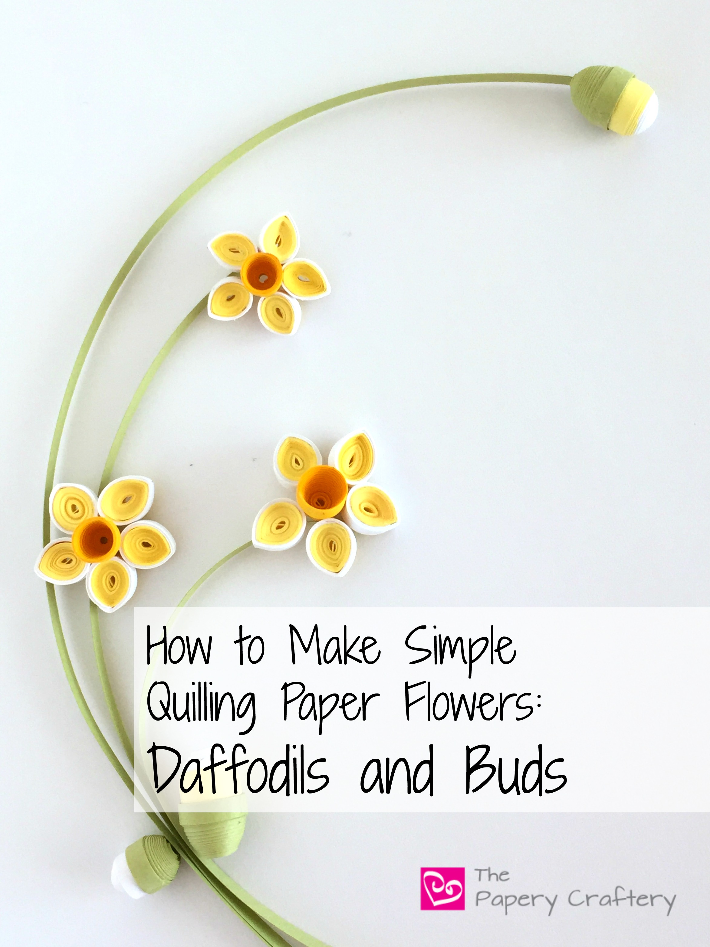How To Make Simple Quilling Paper Flowers Daffodils And Buds The 