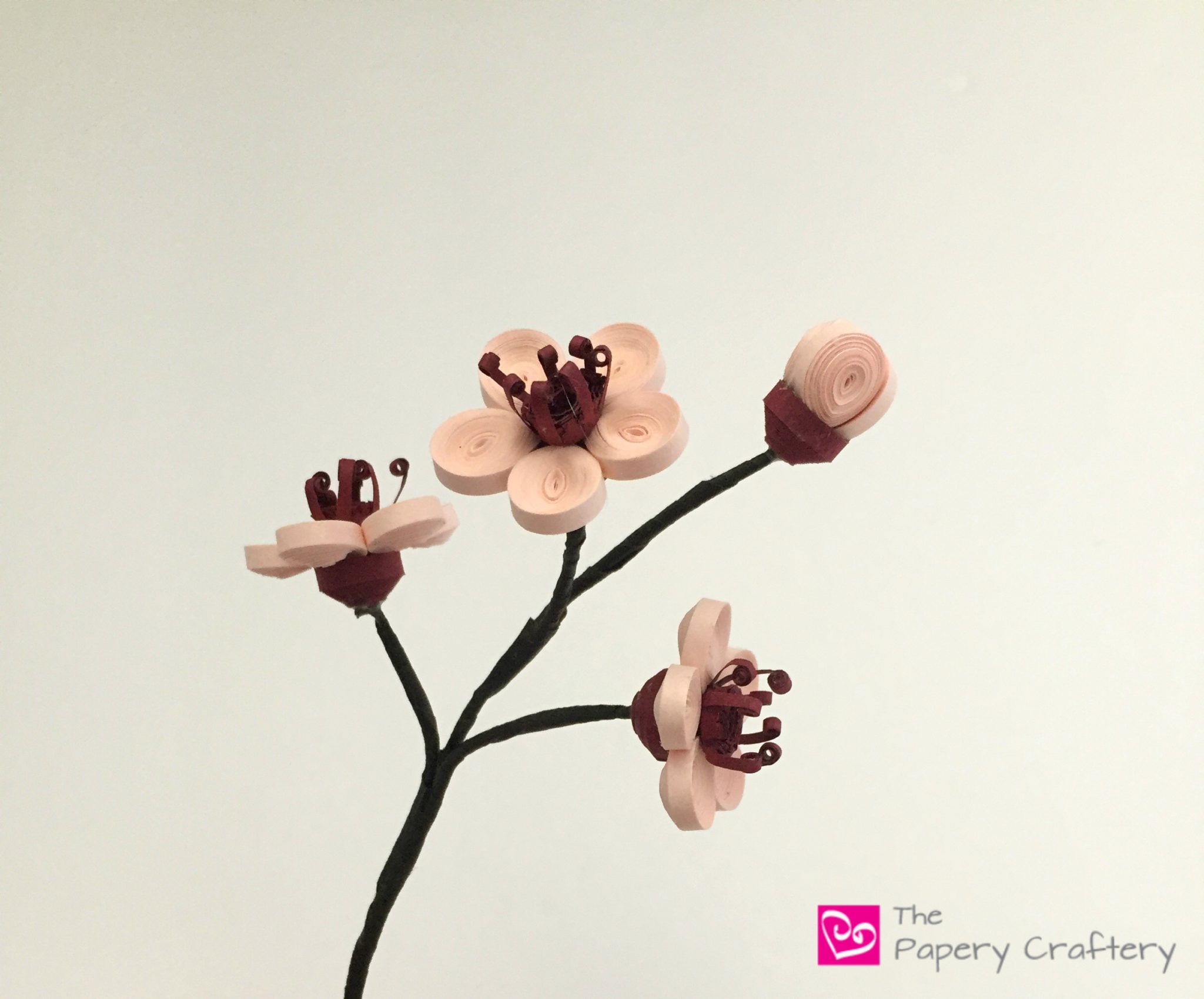 Quilling Paper Cherry Blossoms - The Papery Craftery