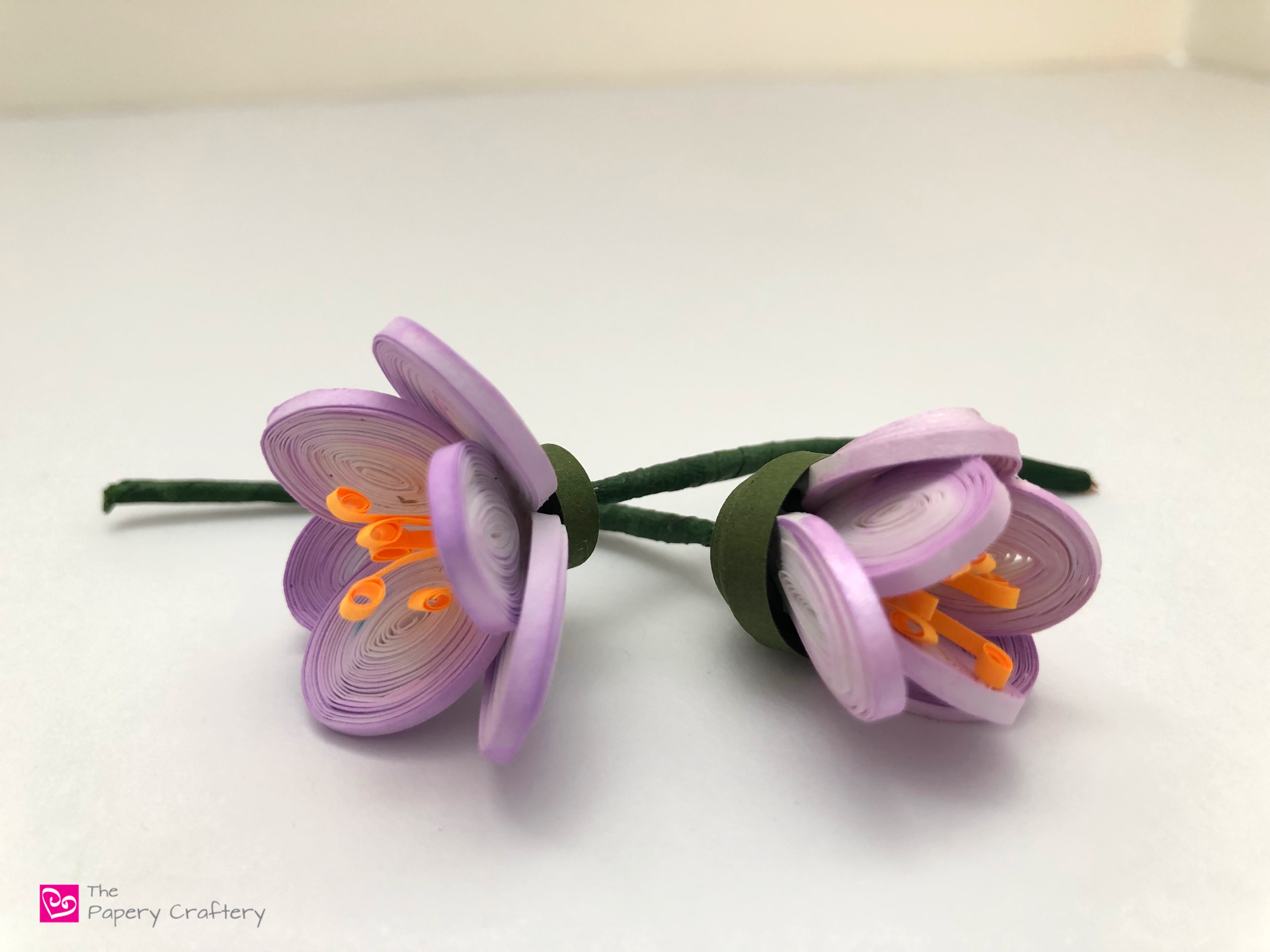 Quilling Paper Crocus - The Papery Craftery